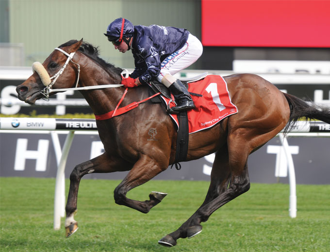 Widden Zoustar New In 2014